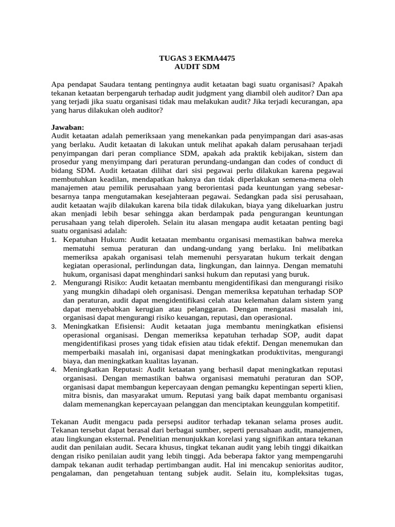 Tugas 3 Audit SDM | PDF
