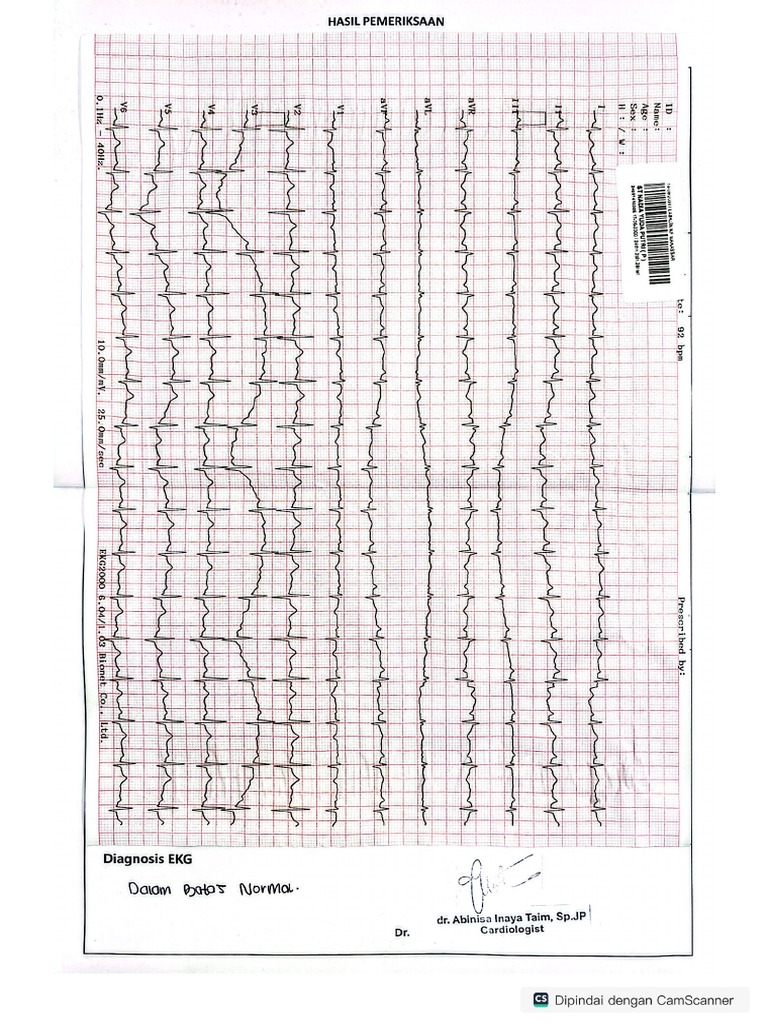 ST Nadia Yuda Putri | PDF