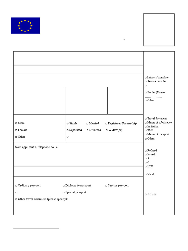 Schengen Visa Application Form Guide | PDF | Travel Visa | European ...