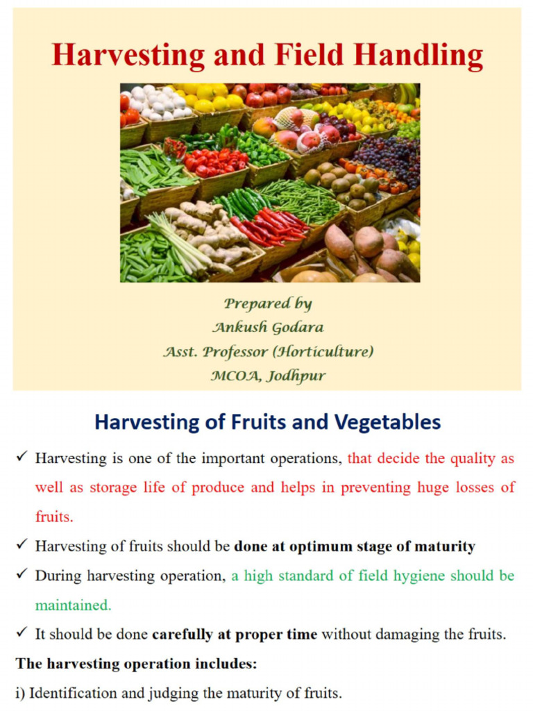 Lecture 5 Harvesting and Field Handling | PDF