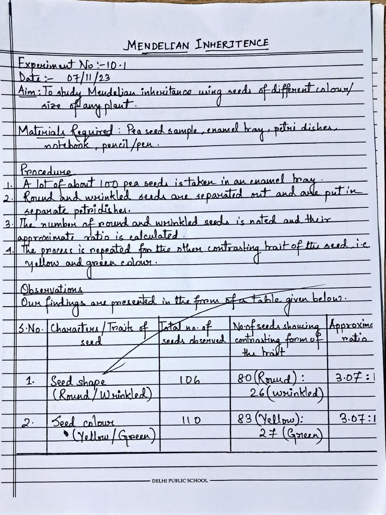 Mendelian Ratios Bio Practical Experiment | PDF