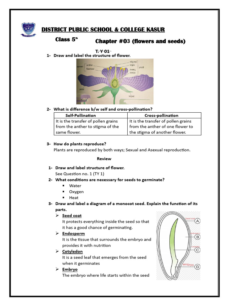 ch3 class 5th | PDF | Seed | Flowers