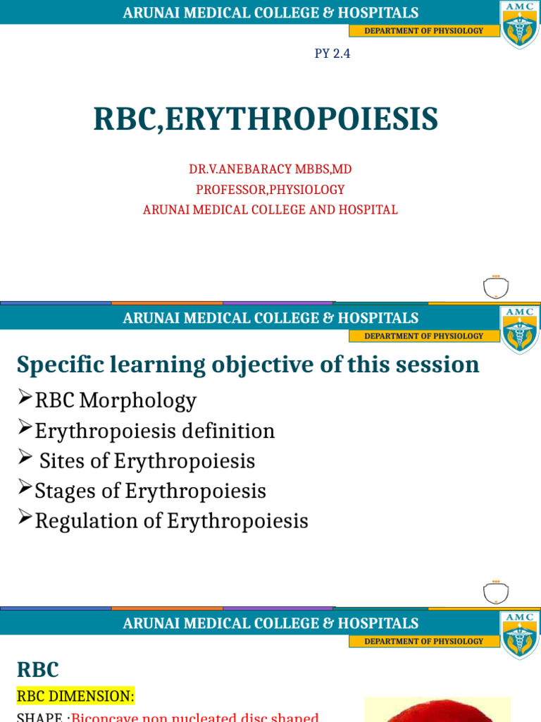 RBC,Erythropoiesis | PDF | Red Blood Cell | Hematopoietic Stem Cell