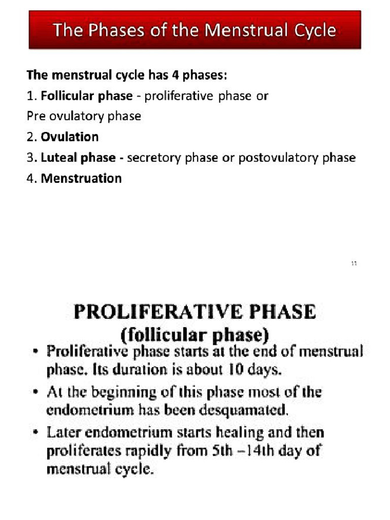 Menstrual Cycle | PDF