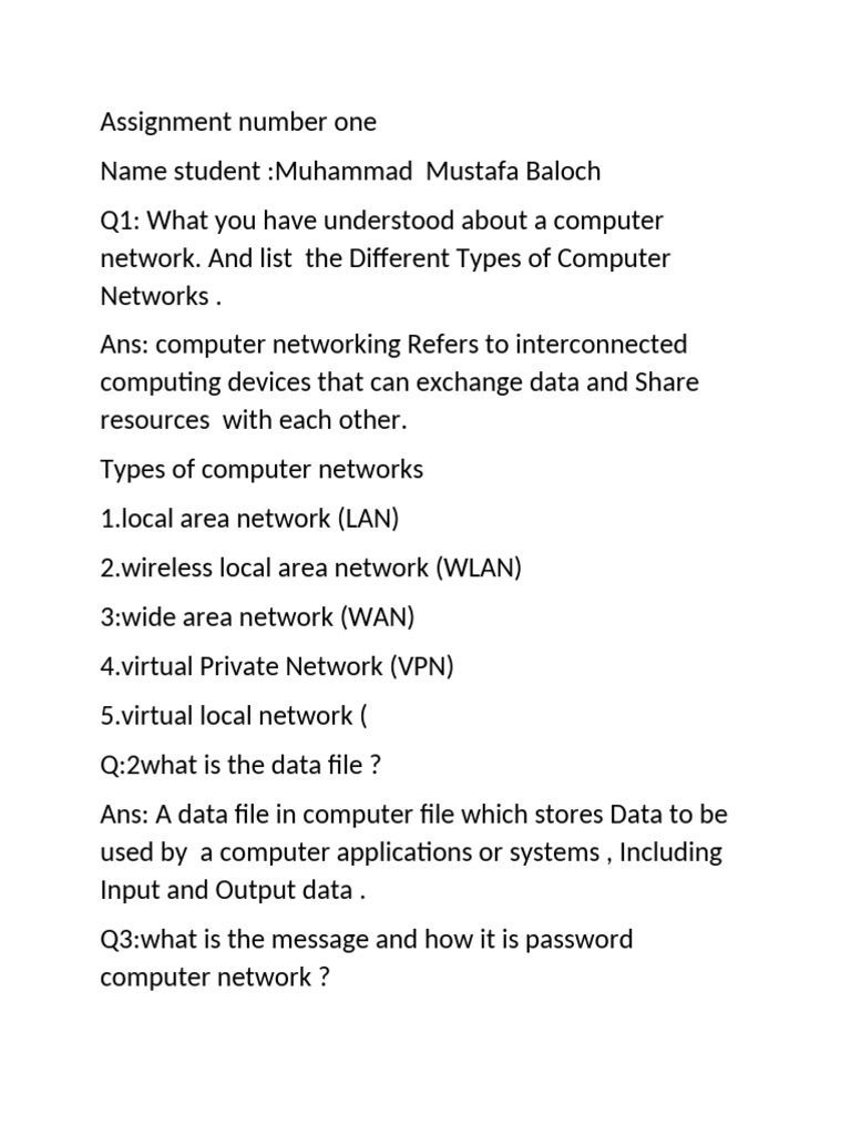 Understanding Computer Networks and Data Files | PDF