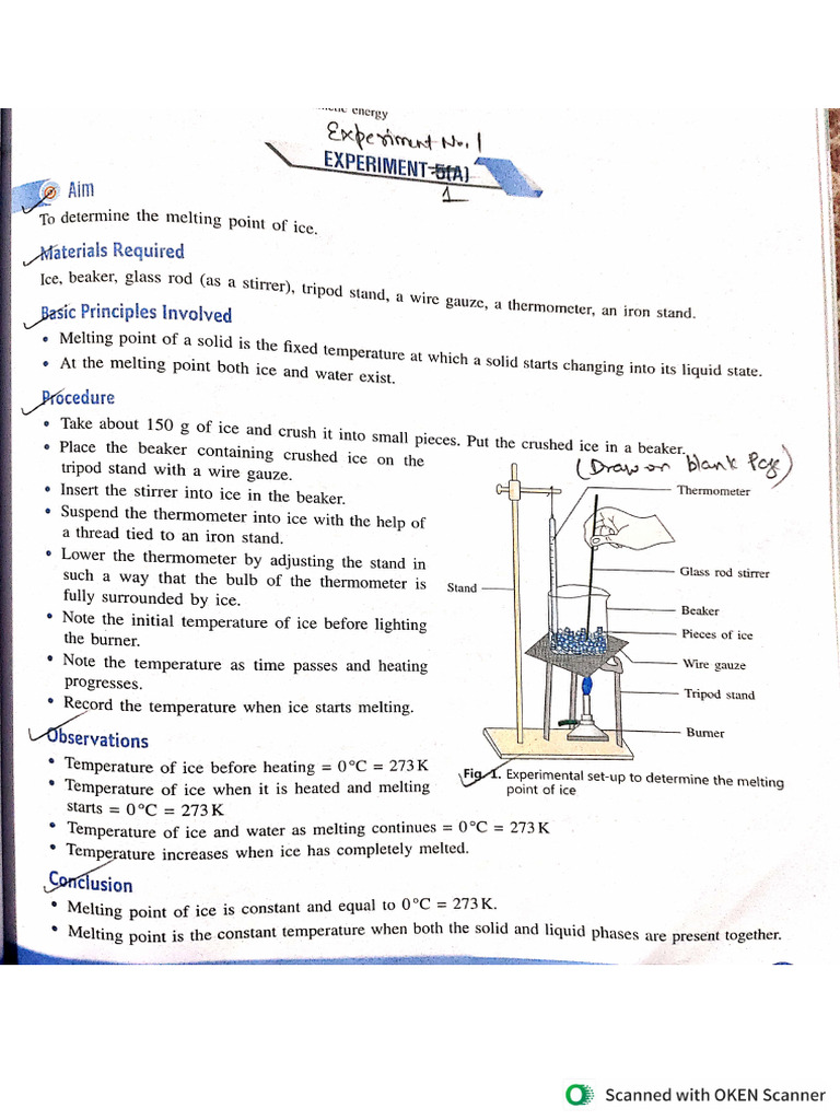 Practical Work Class 9 | PDF