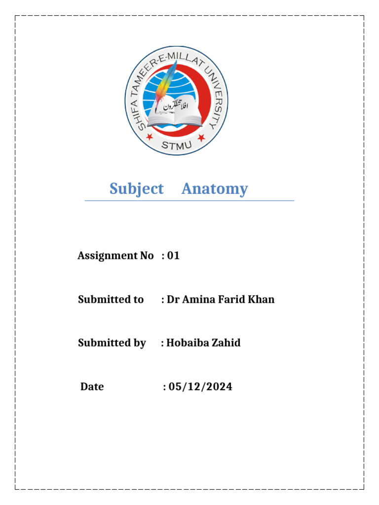 Bones Assignment | PDF | Anatomical Terms Of Motion | Arm