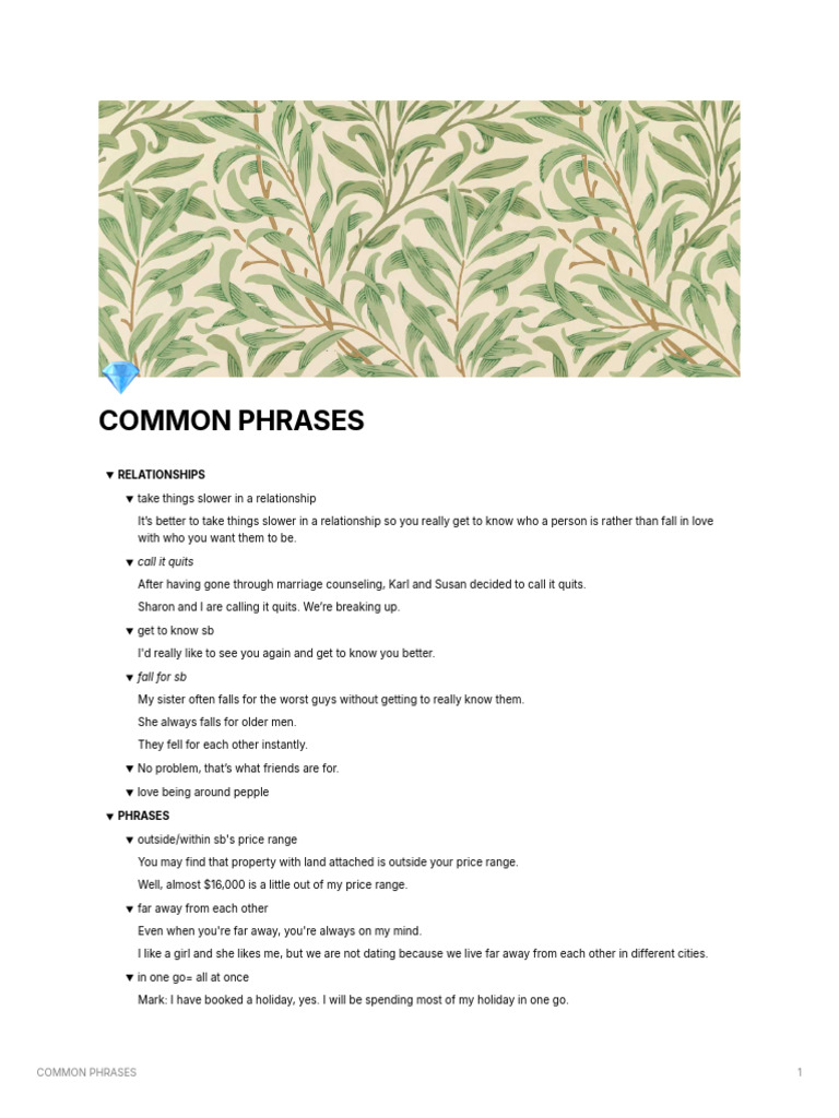 ebbf1d12-1677-476e-b1eb-be5b7d580eef_COMMON_PHRASES | PDF | Love | Lunch