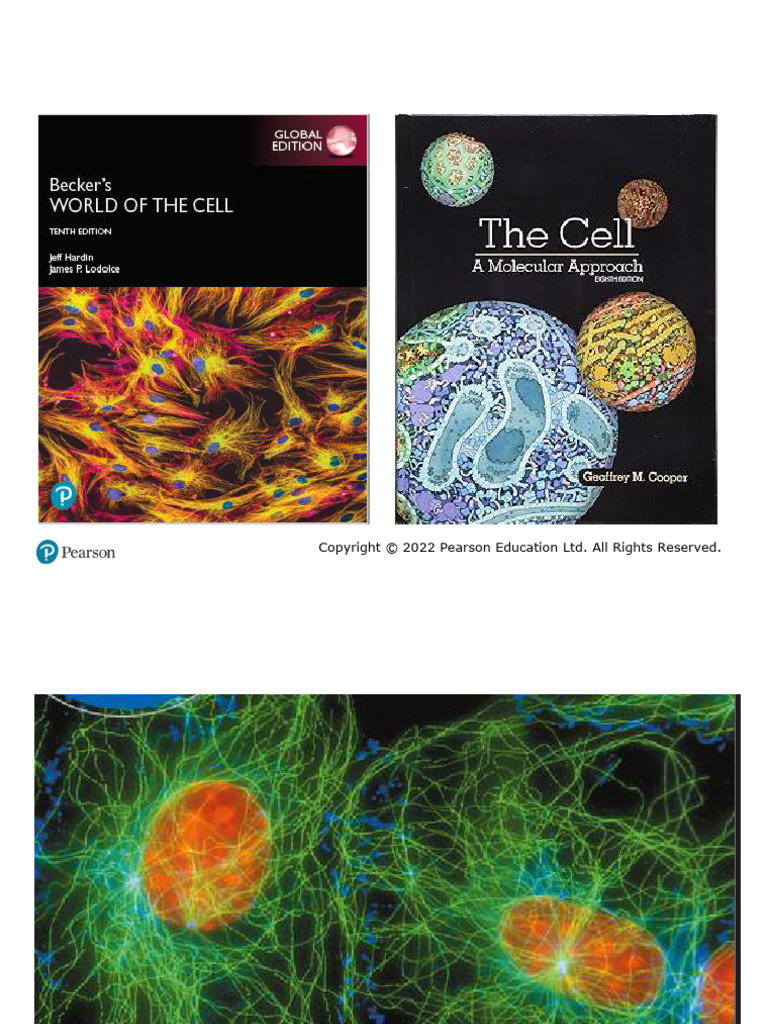 1-A Preview of Cell Biology | PDF | Microscopy | Rna