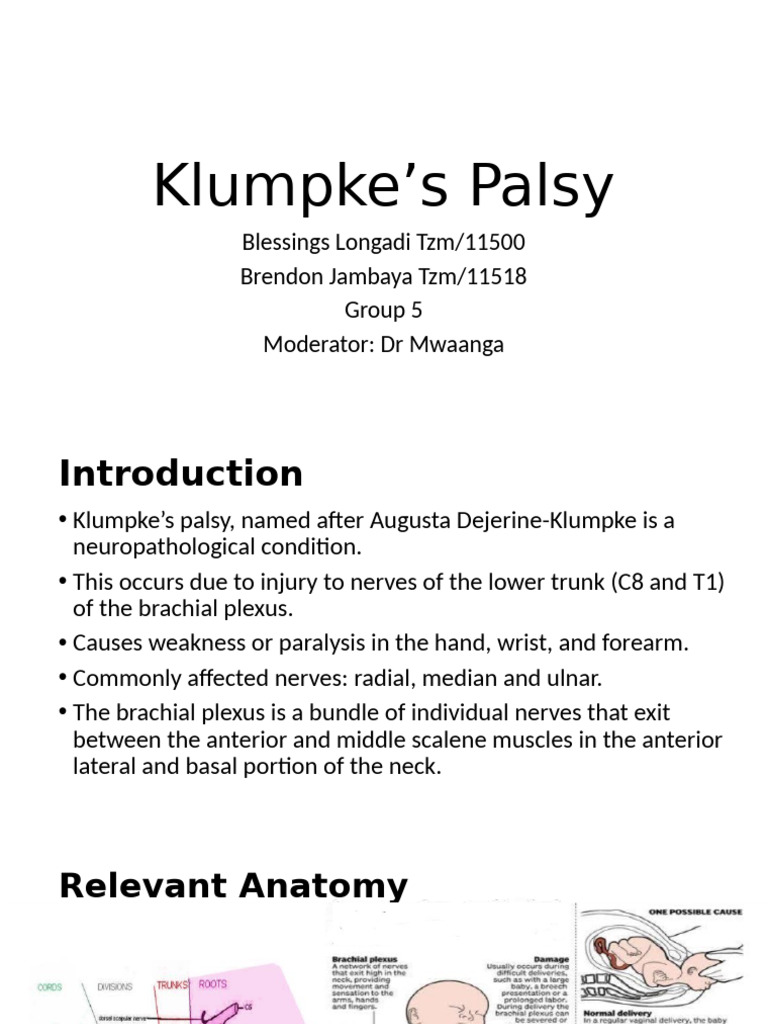 Klumpke Pasly Brendon and Blessing Group 5 Final[1] | PDF | Hand ...