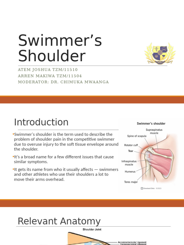 Swimmer’s Shoulder 3 | PDF | Shoulder | Anatomical Terms Of Motion