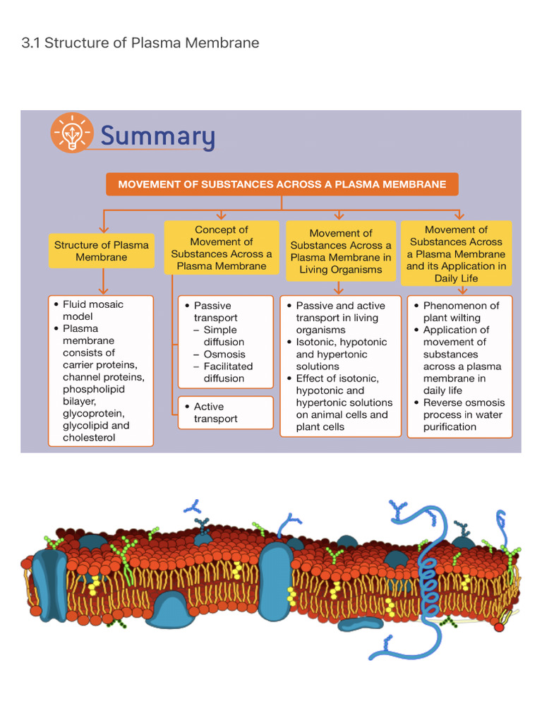 Cell Biology for Students | PDF