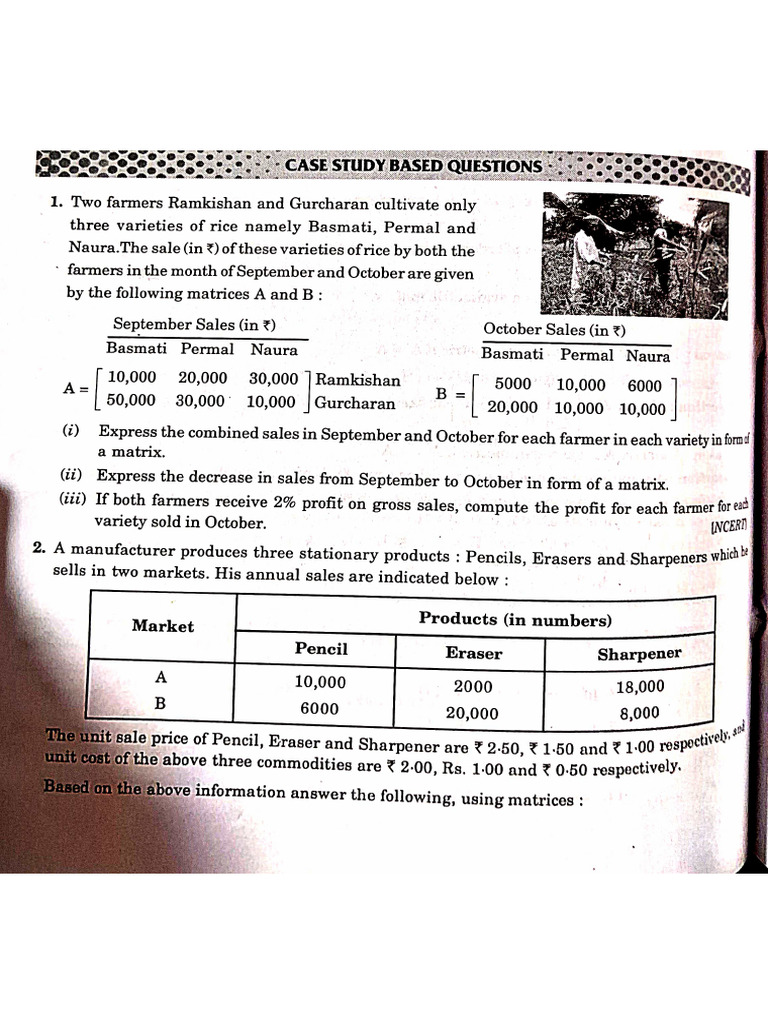 Case Study - Ch-3 Matrices (XLL) | PDF