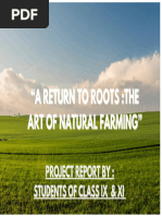 Organic Farming Project Class12 Economics | PDF