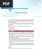 Generic Autopsy Report Template | PDF | Lung | Stomach