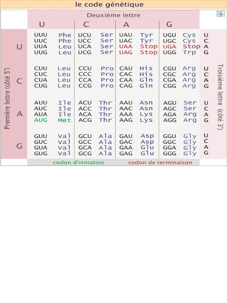 03_code_genetique_xl.jpg 1,119 × 1,046 pixels | PDF