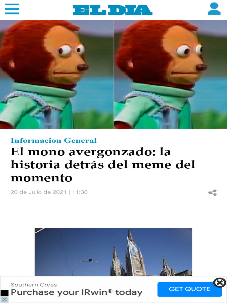 Historia del Meme del Mono Avergonzado | PDF