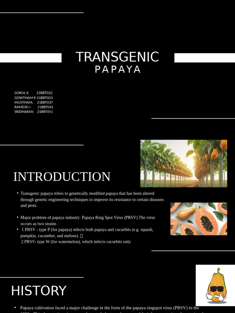 Transgenic papaya | PDF | Genetically Modified Organism | Biology