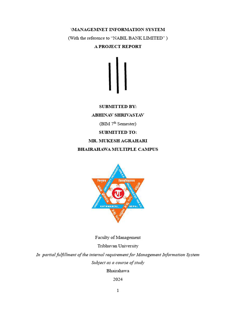 Nabil Bank MIS Project Report | PDF | Computer Security | Security