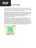 McGill Trunk Endurance Test Norms | PDF | Anatomical Terms Of Motion ...