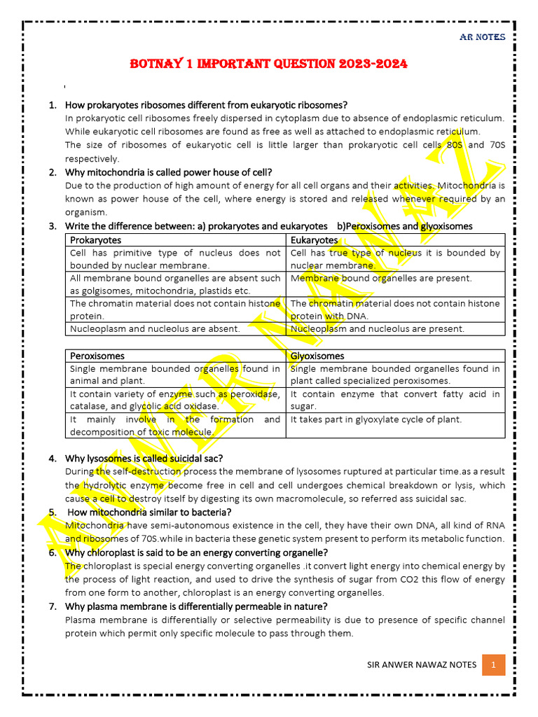 Botany Paper Solved 2024 Updated | PDF | Bacteria | Photosynthesis