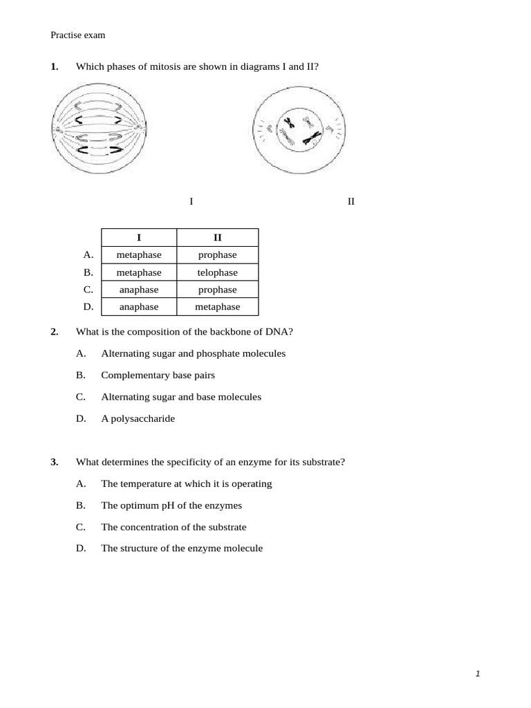 Mitosis and Enzyme Function Exam Questions | PDF | Cell (Biology ...