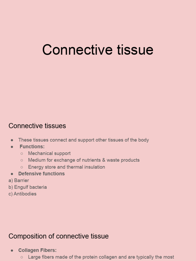Connective Tissue 1 Pdf Connective Tissue Tissue Biology