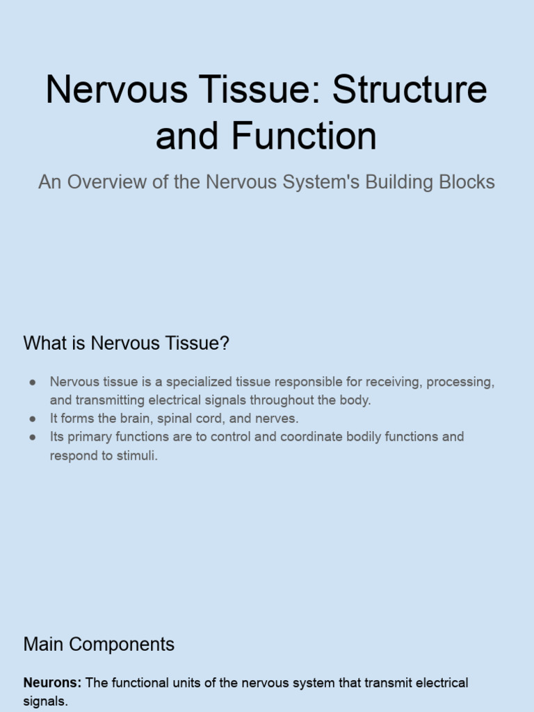 Nervous Tissue Structure and Function | PDF | Nervous System | Neuron