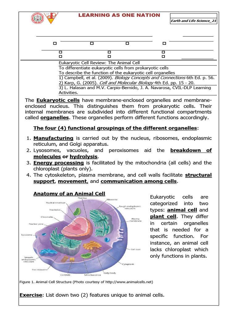 Earth-_-Life-Science-LAS-21-Animal-Cell-Review | PDF | Cell (Biology ...