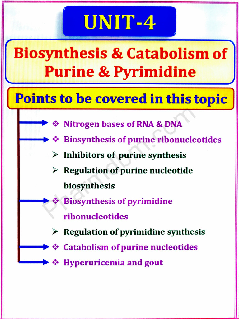 Biochemistry Unit 4 | PDF