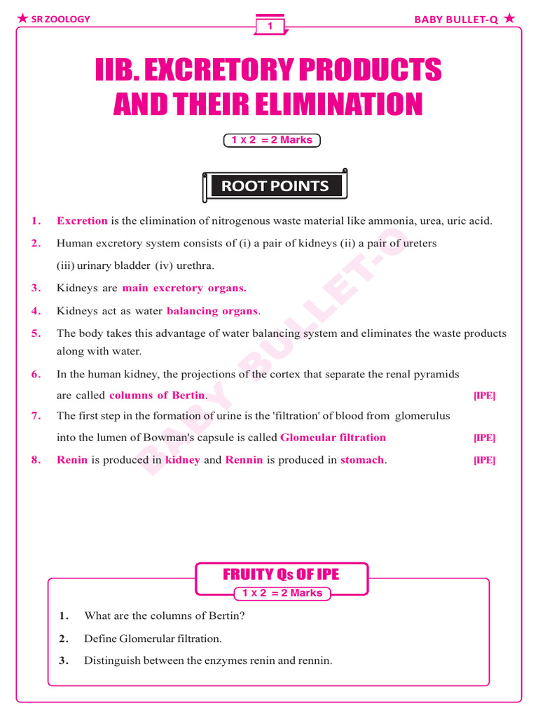 Data Encoding Patterns | PDF
