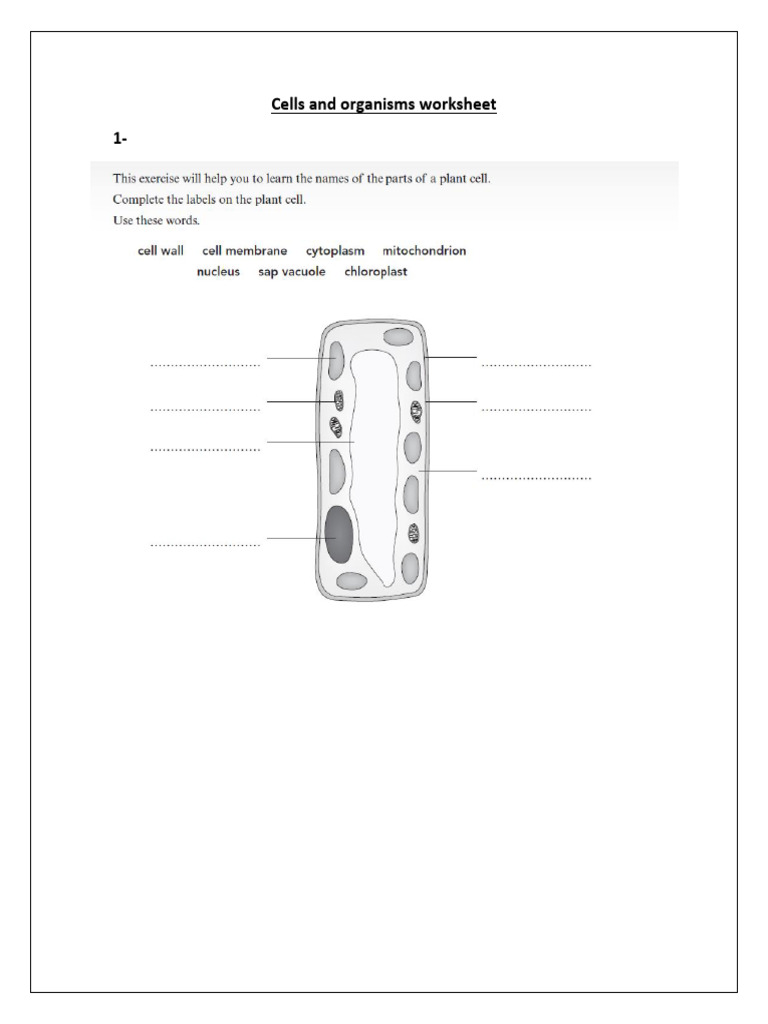 cells_and_organisms_worksheet_2959nE | PDF