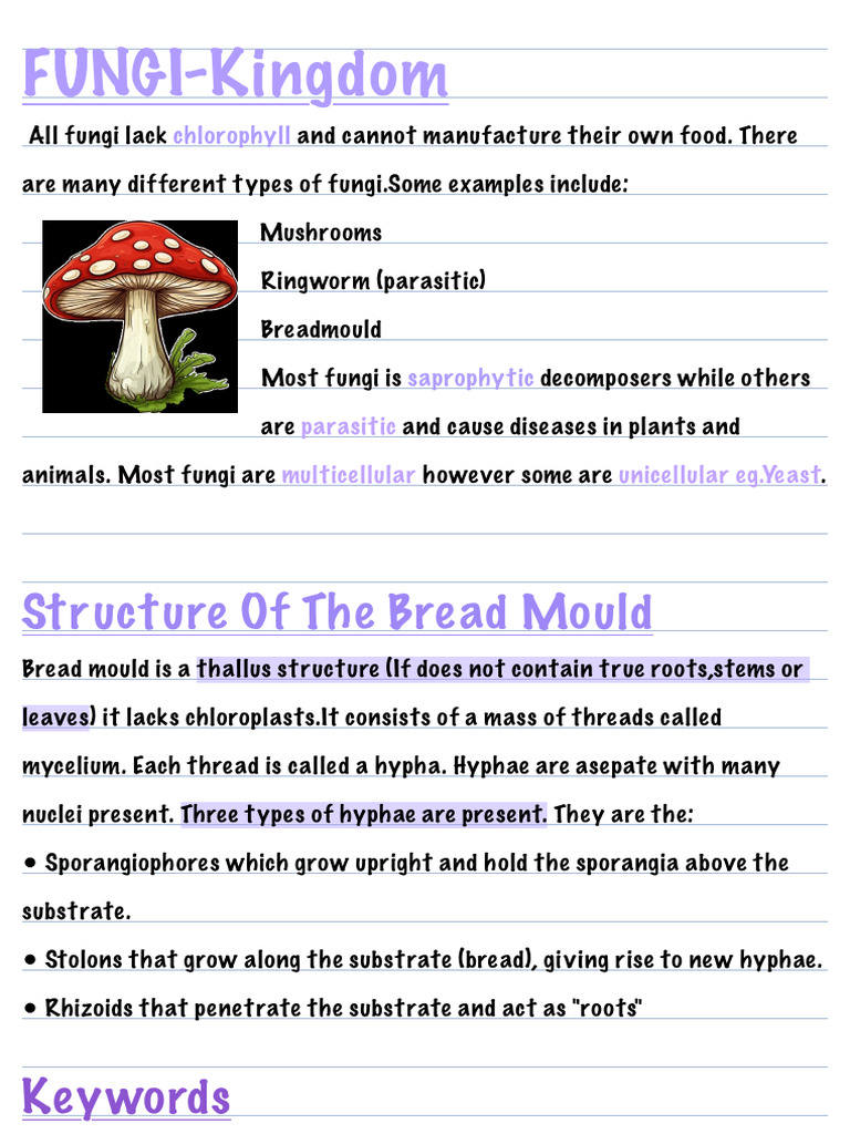 Fungi | PDF