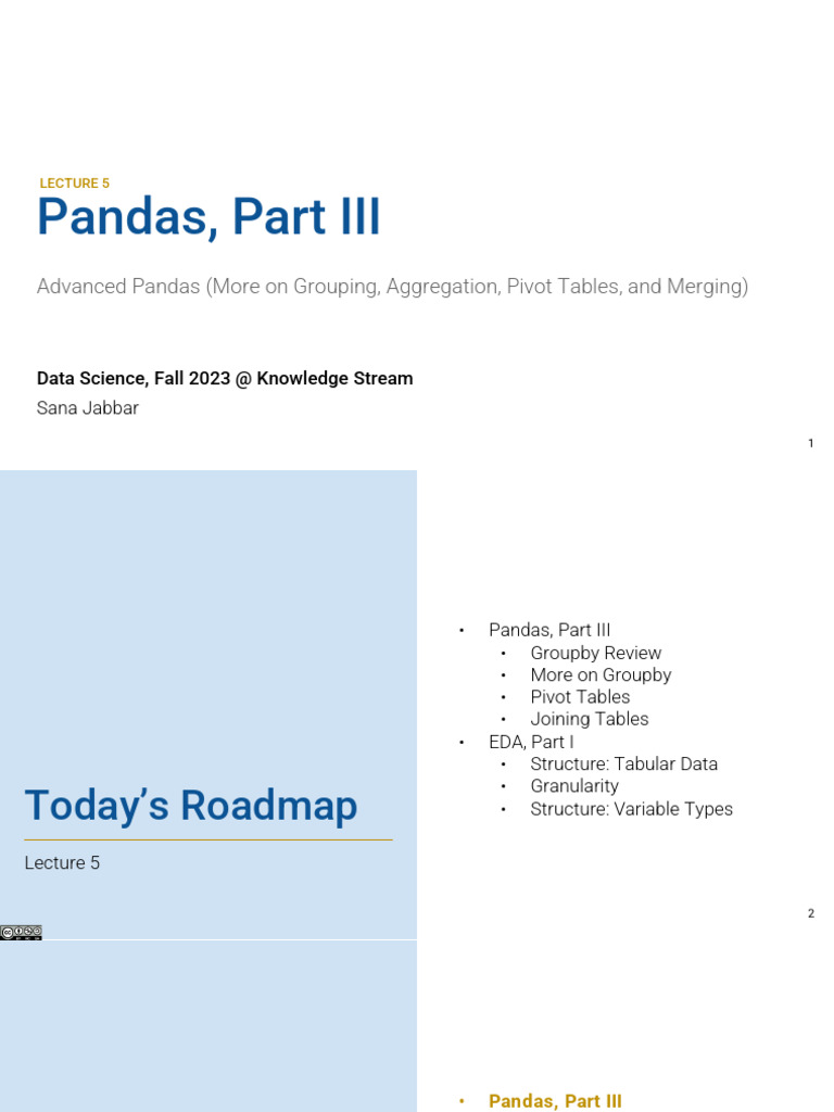 Advanced Pandas: Grouping & Aggregation | PDF | Applied Mathematics | Computer Science