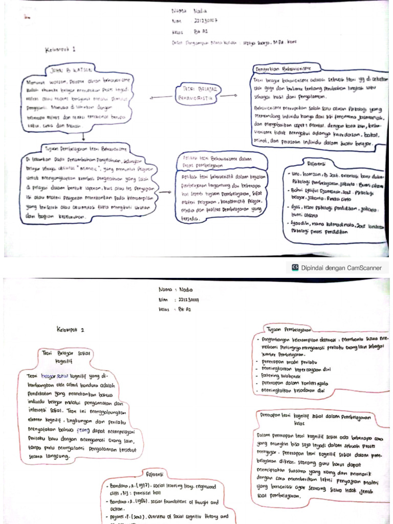 nadia (mind mapping) | PDF