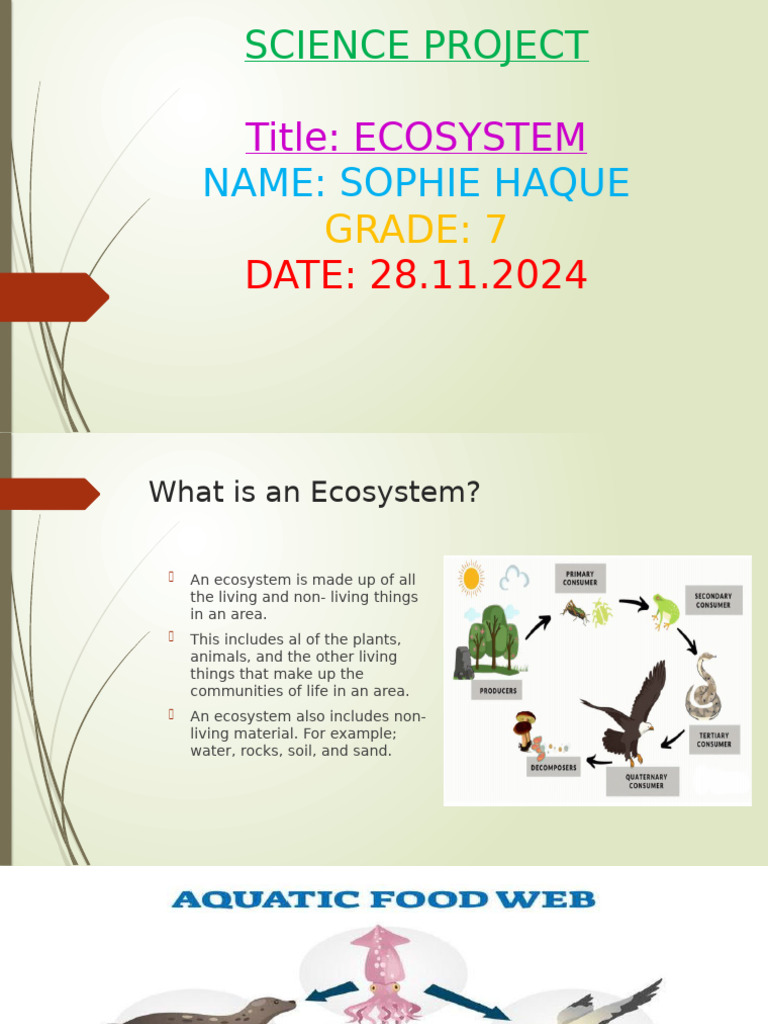 Science Project On Ecosystem Second Term | PDF