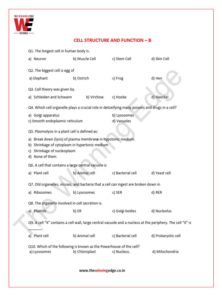 CELL STRUCTURE AND FUNCTION – B | PDF