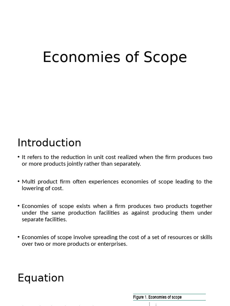 5 Economies of Scope and Learning Curve | PDF | Economies | Economics