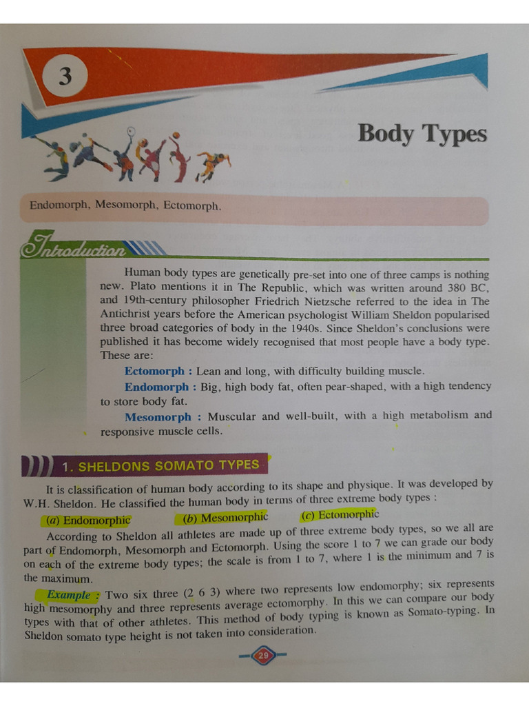 Body Types | PDF