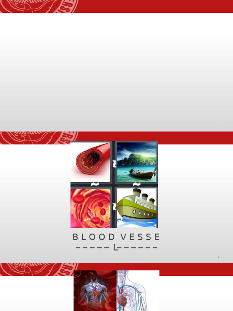 Circulatory System | PDF | Blood | Circulatory System