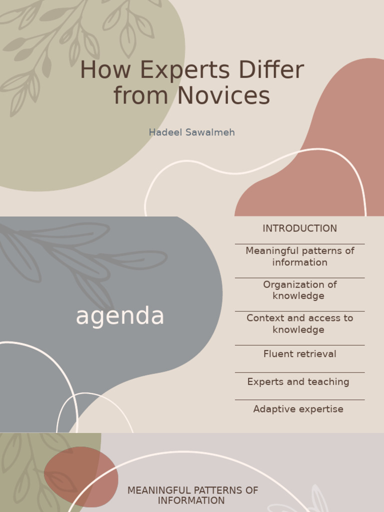 How Experts Differ From Novices | PDF