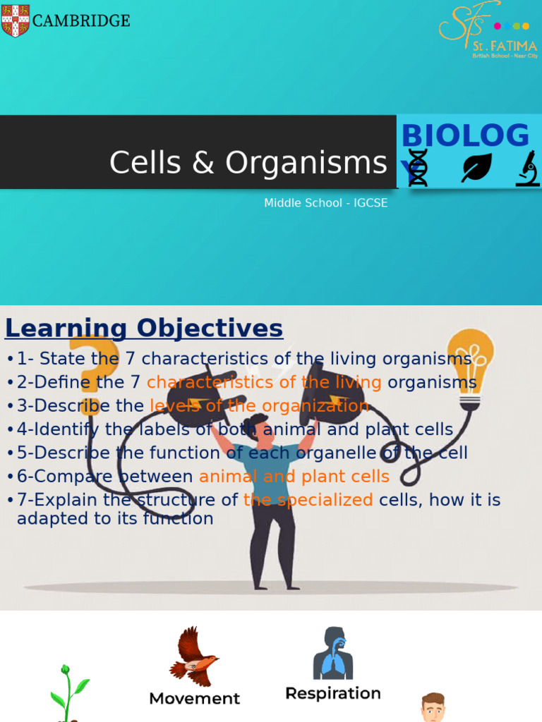 Biology: Cells & Organisms Overview | PDF | Tissue (Biology) | Sperm
