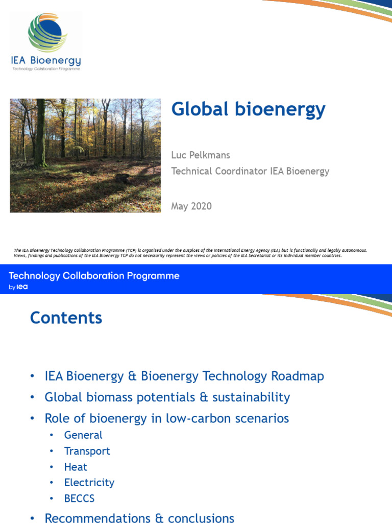 GlobalBioenergy May2020 | PDF | Bioenergy | Power Resources