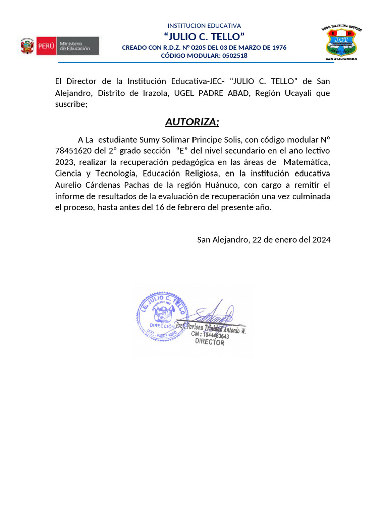 El Director de La Institución Educativa | PDF