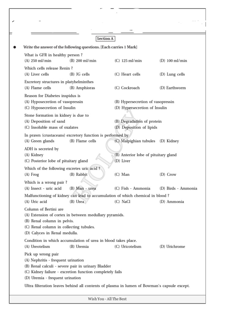 Cl-11 Ch-19-20 MCQ | PDF | Kidney | Urinary System