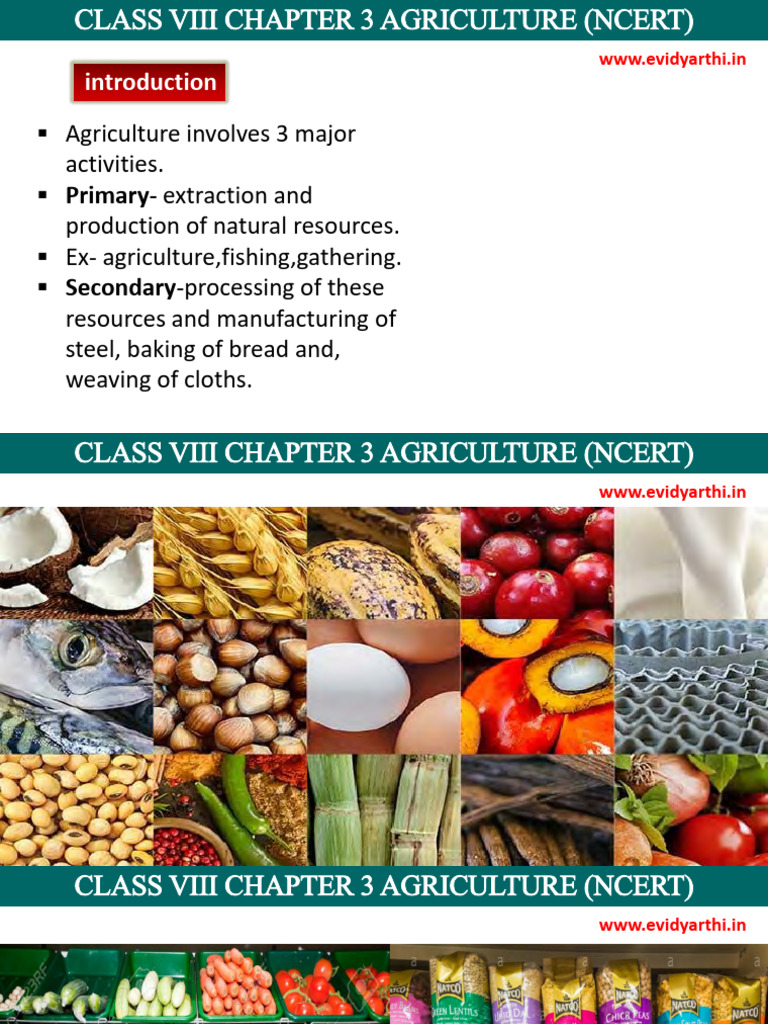 Notes Class 8 Geography Chapter 3 3 | PDF | Agriculture | Crops