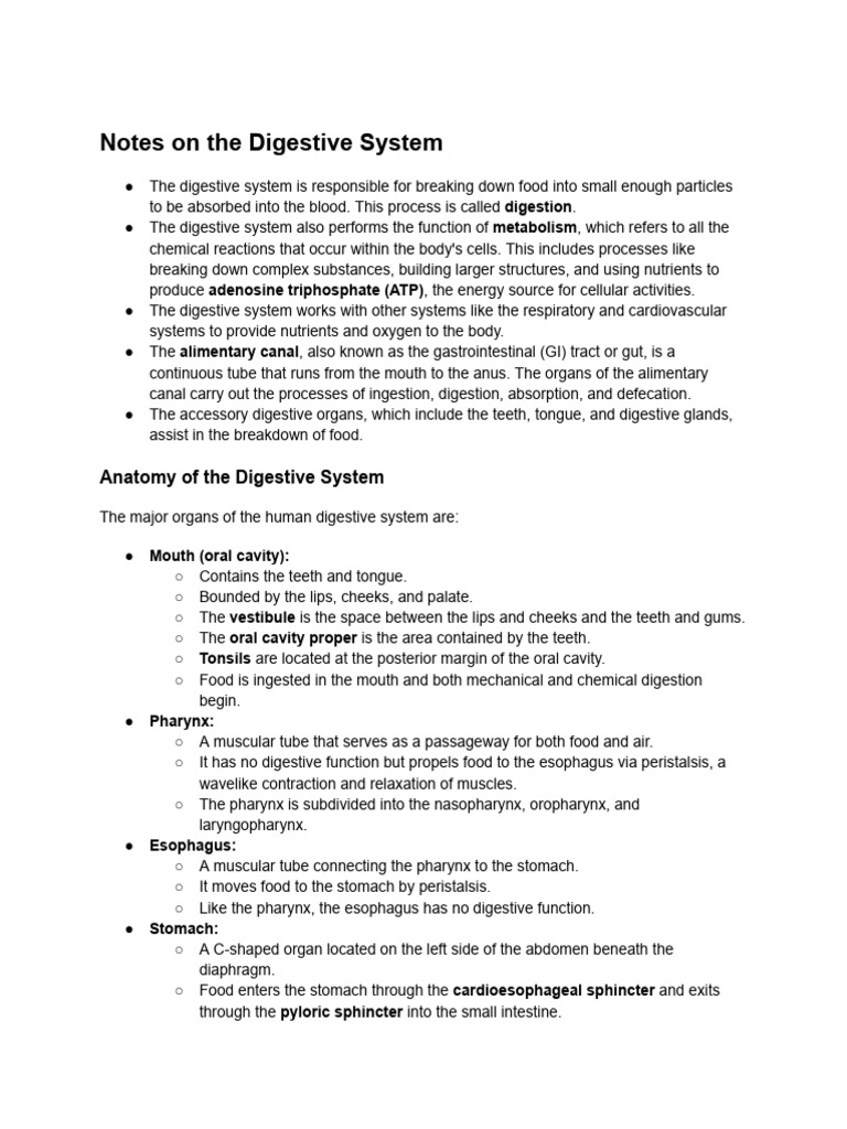 Anaphy Lec Finals Reviewer Pdf Digestion Stomach 