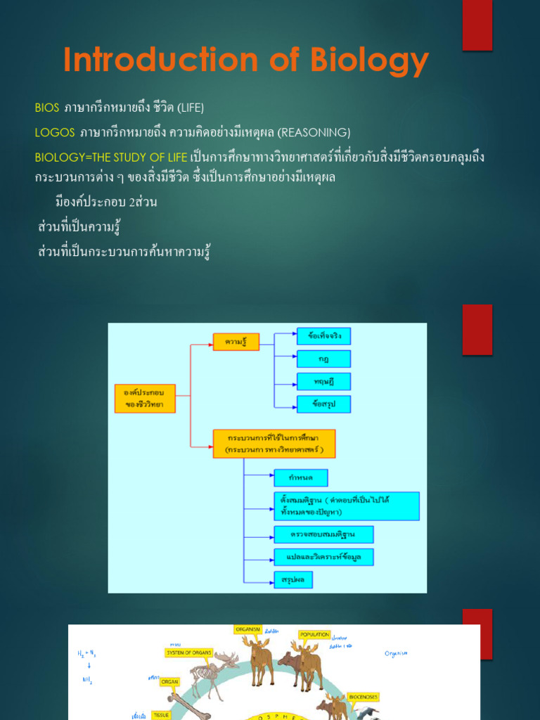 Introduction of Biology 64 | PDF