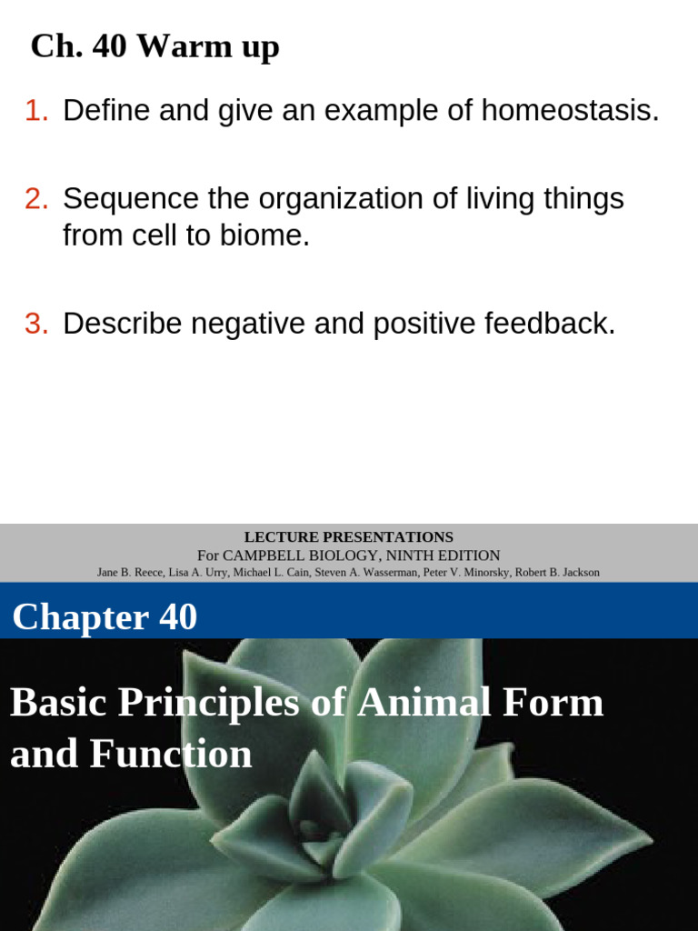 Ch. 40 Animal Intro 9e | PDF | Thermoregulation | Physiology Ch. 40 Animal Intro 9e | PDF | Thermoregulation | Physiology