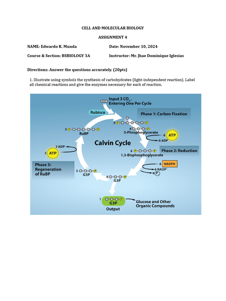 ASSIGNMENT - 4 - CMB | PDF